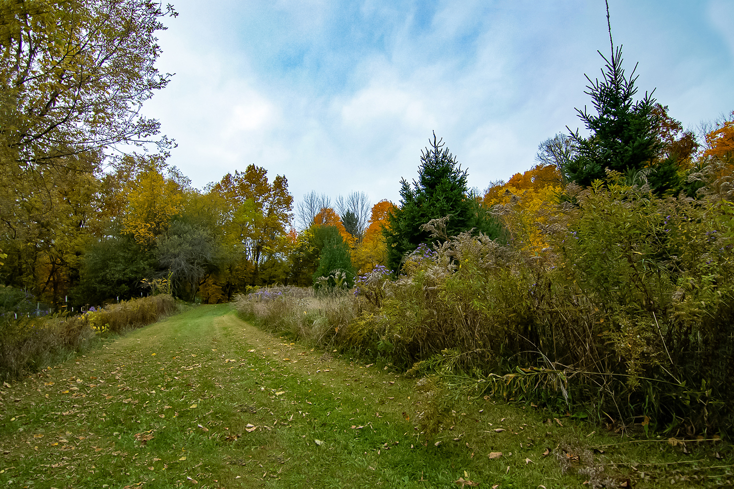 Fox Hill Nature Preserve - Cedar Lakes Conservation Foundation