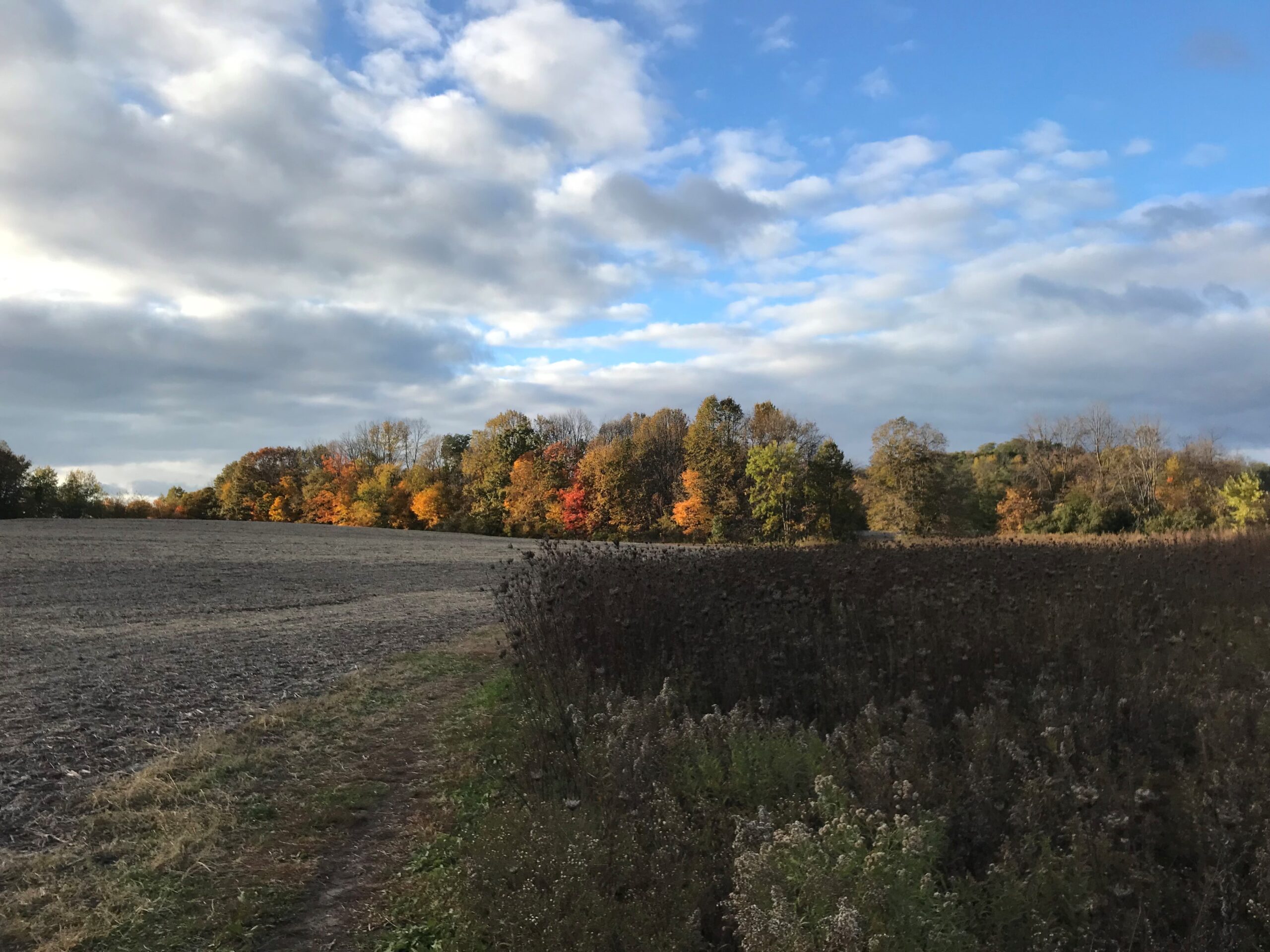 Polk Kames - Cedar Lakes Conservation Foundation